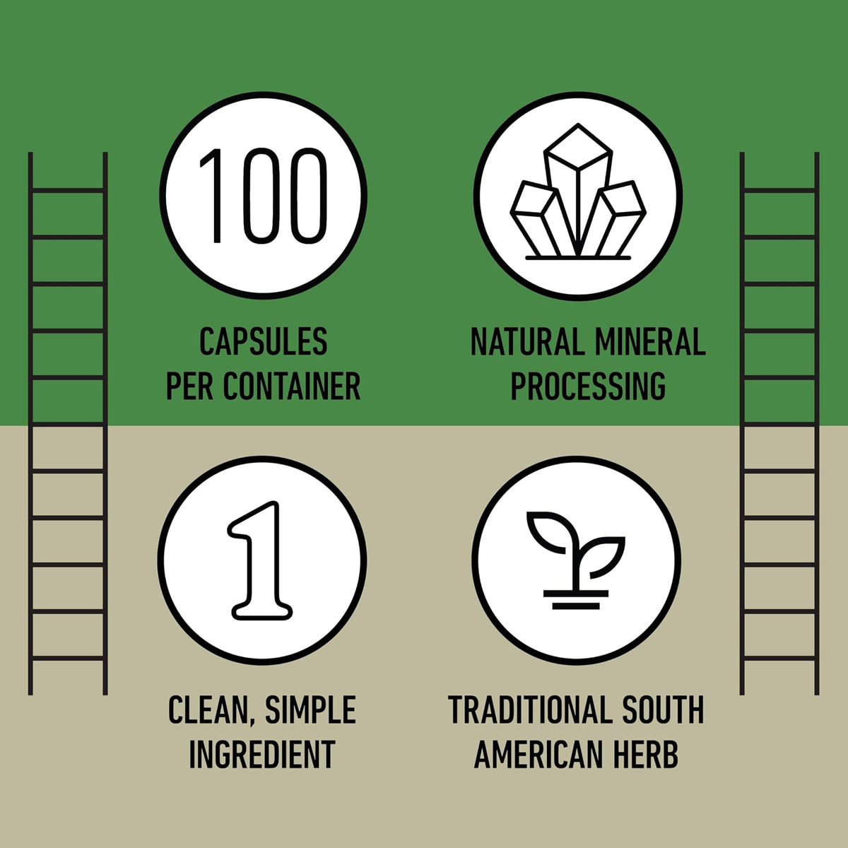 60 capsules of Chanca Piedra extract