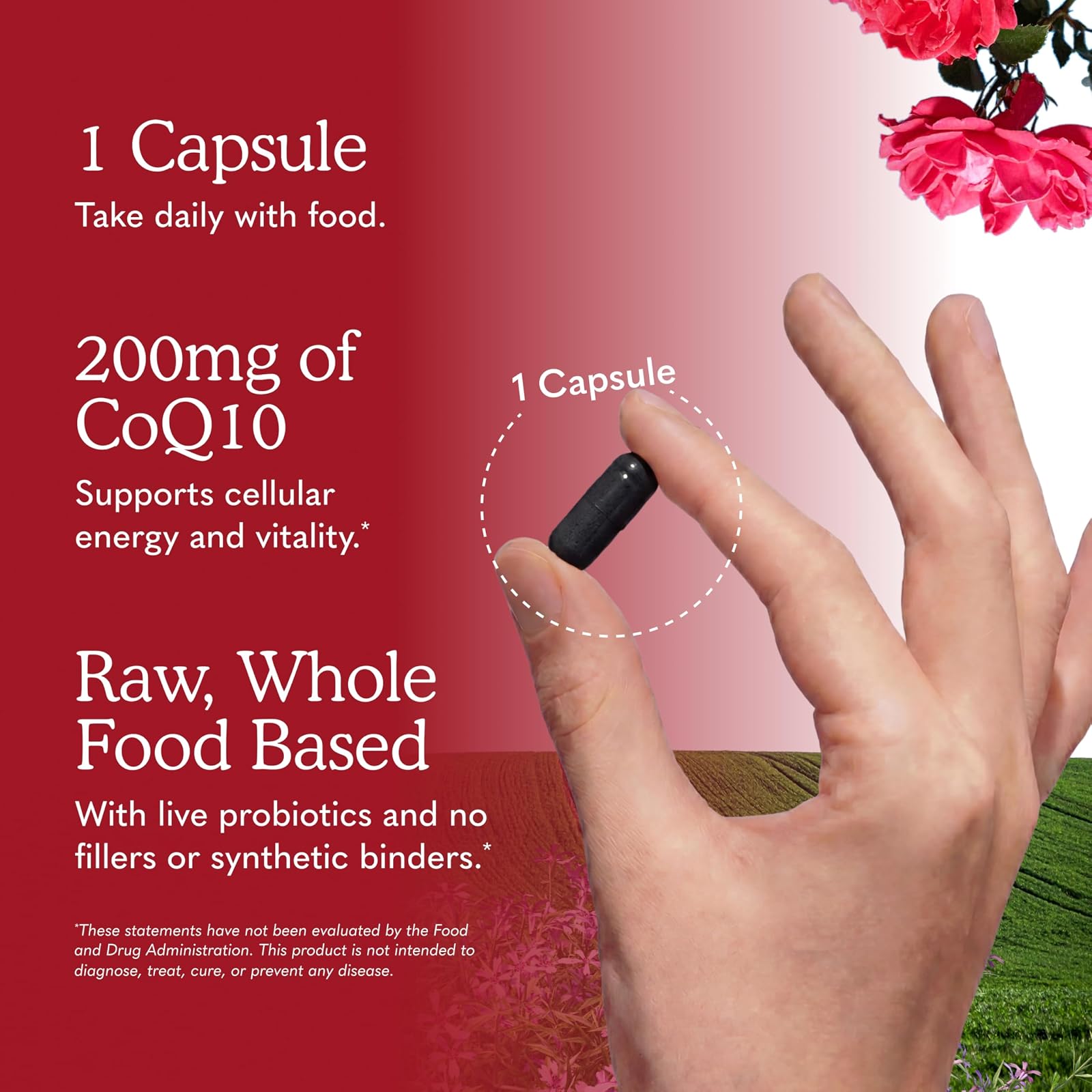 60 capsules of CoQ10