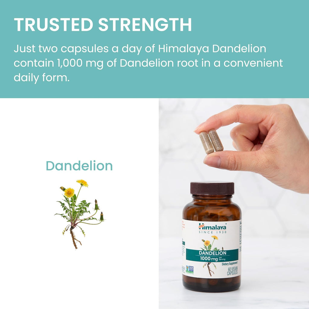 60 capsules of dandelion extract