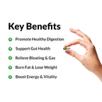 60 capsules of digestive probiotics