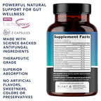 60 capsules of digestive support