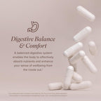 60 capsules of digestive wellness
