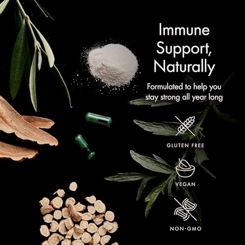 60 capsules of elderberry immune support