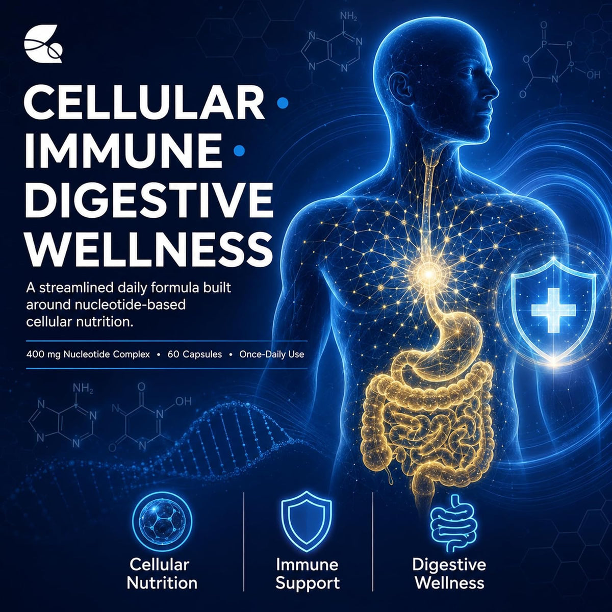 60 capsules of essential nutrients