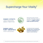 60 capsules of Fucoidan benefits