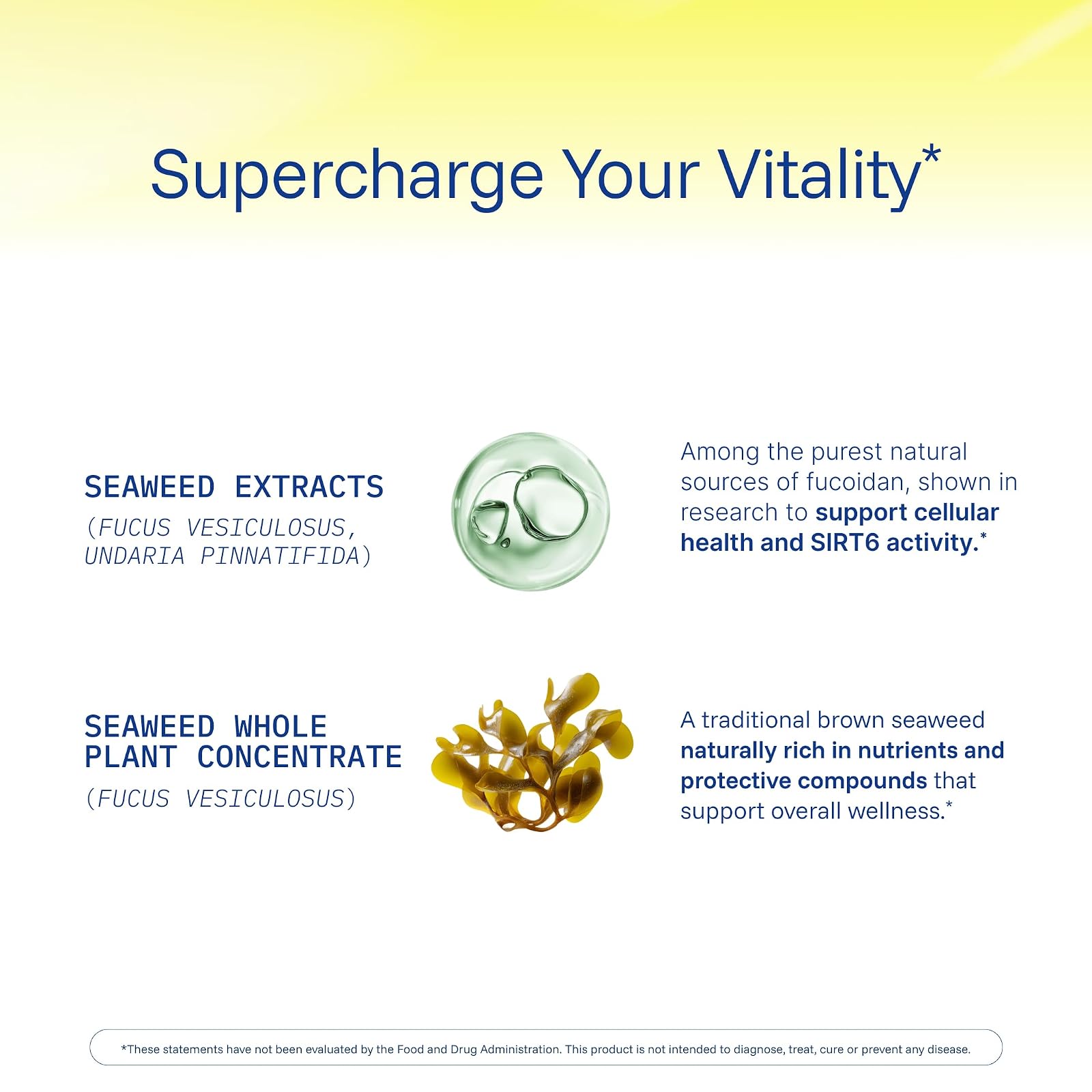 60 capsules of Fucoidan benefits