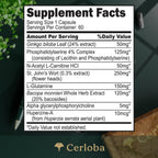 60 capsules of Ginkgo Biloba extract