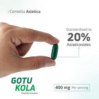 60 capsules of Gotu Kola extract