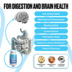 60 capsules of gut-friendly probiotics