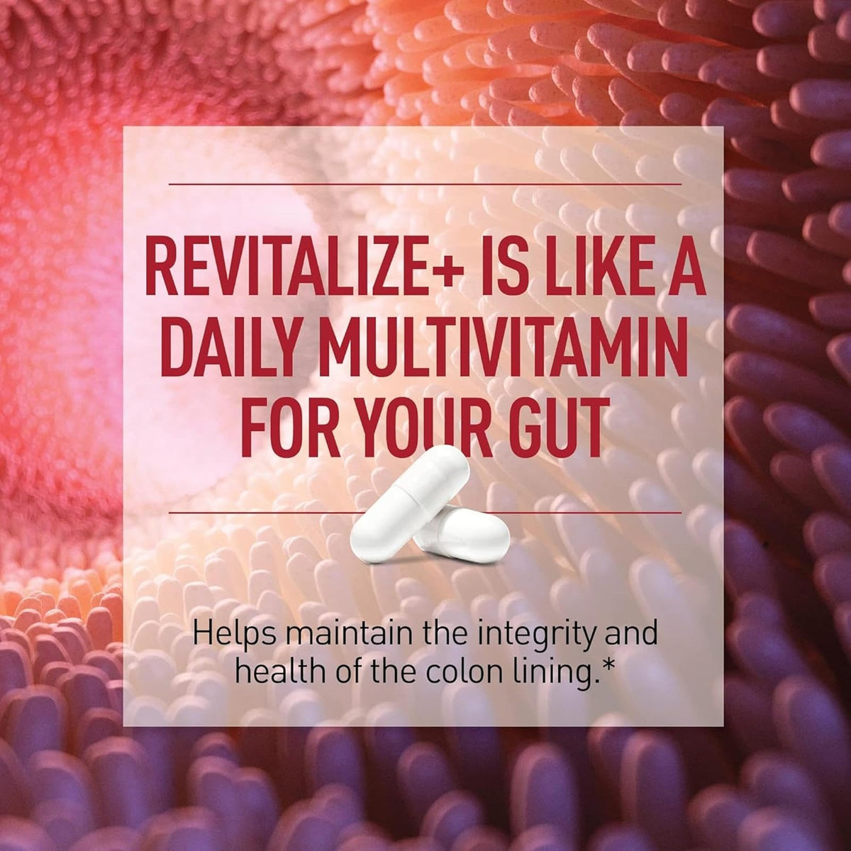 60 capsules of gut health probiotics