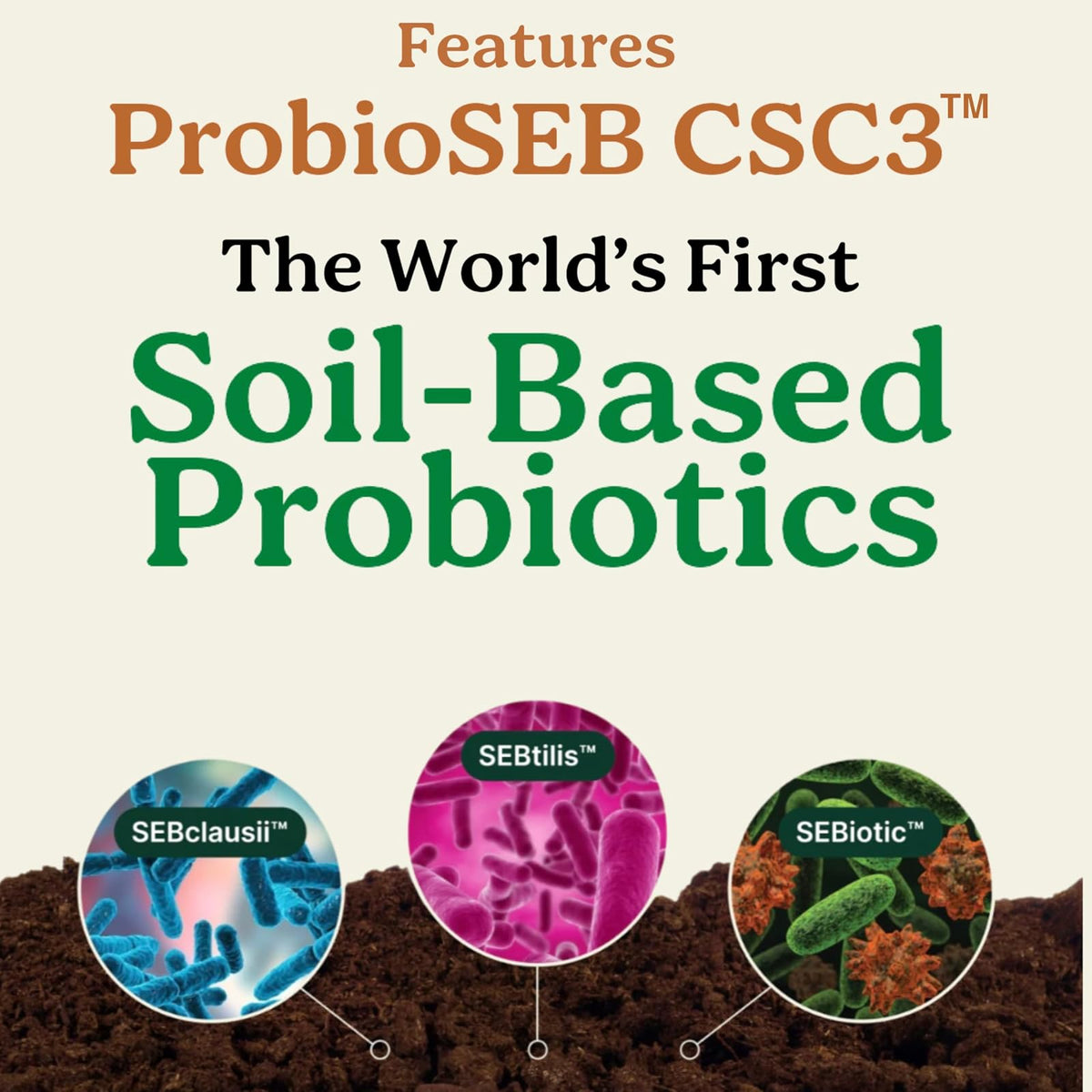 60 capsules of gut support probiotics