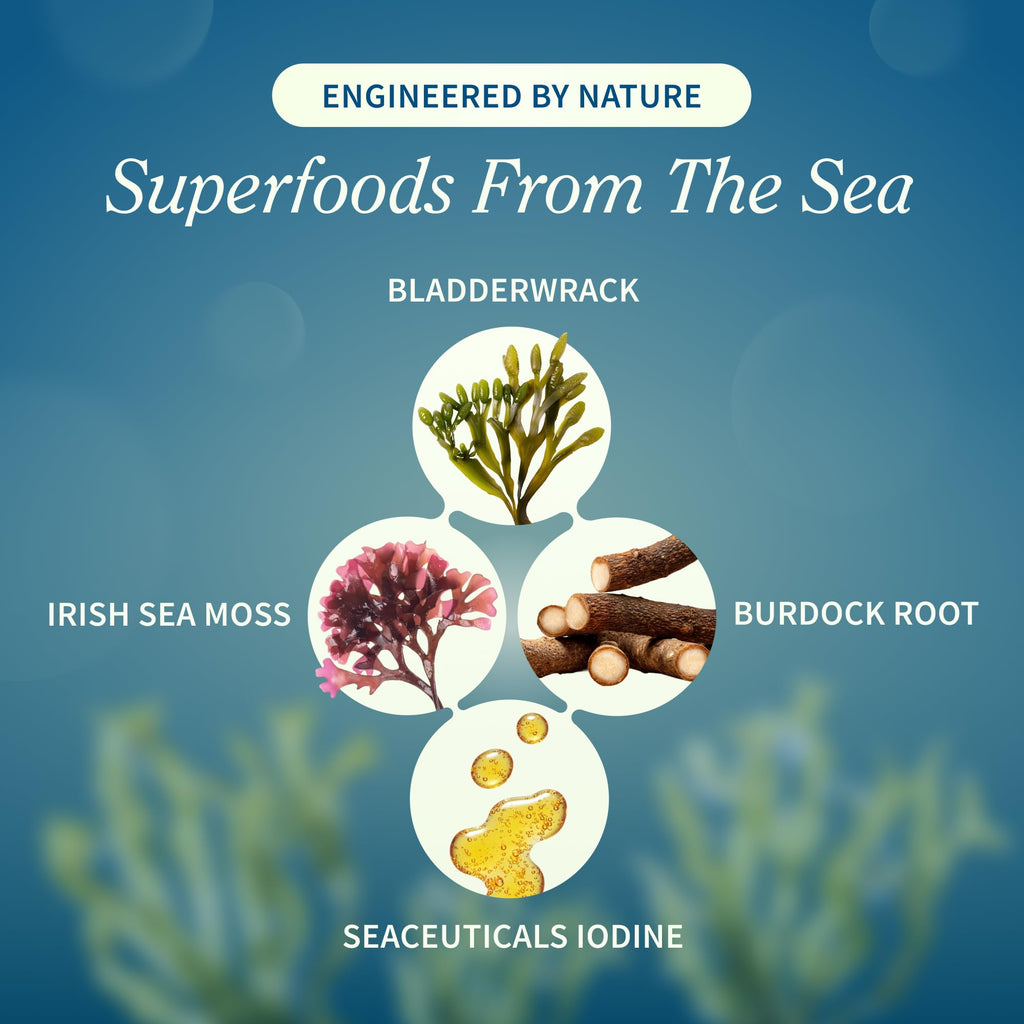 60 capsules of iodine-rich sea moss