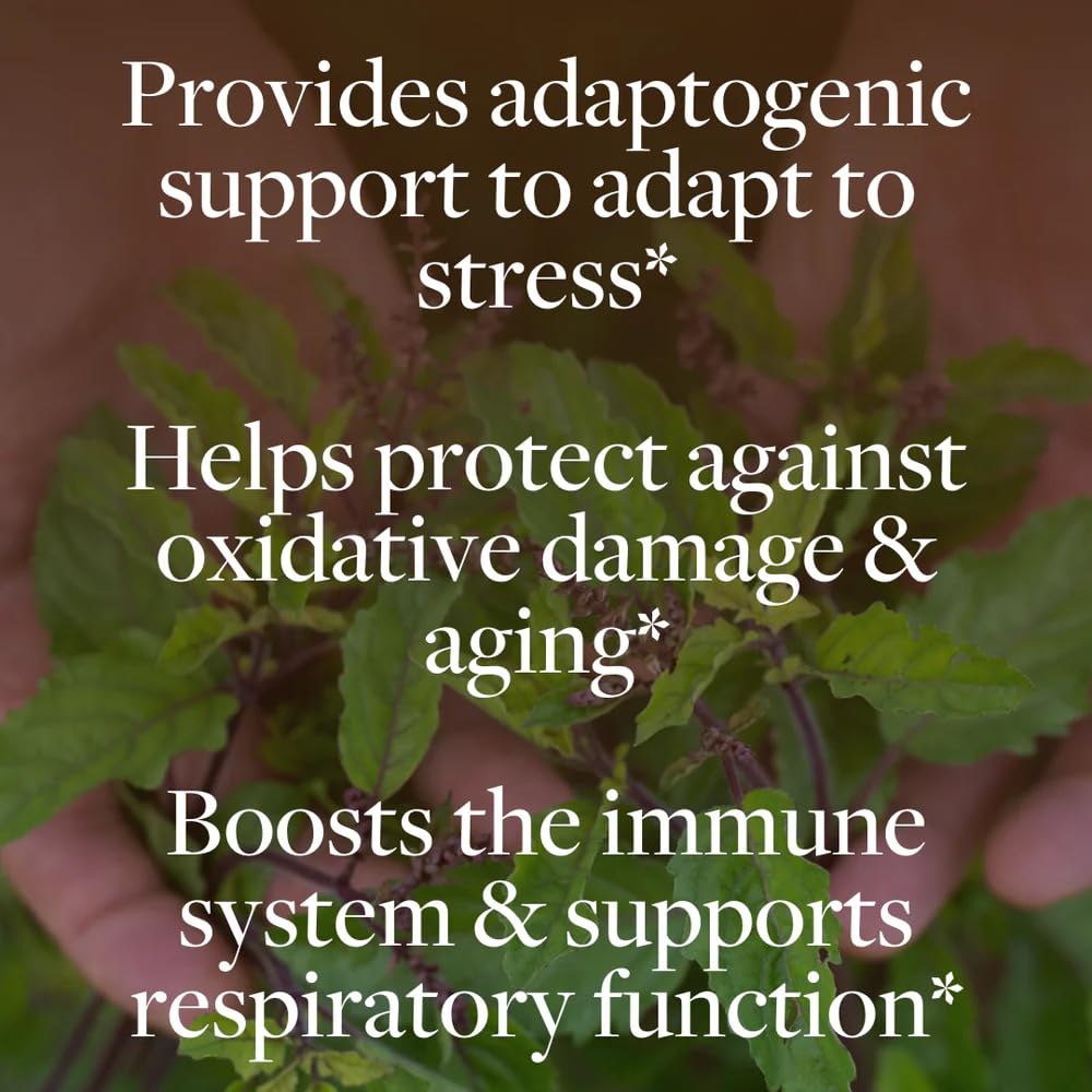 60 capsules of kokora Holy Basil extract