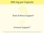 60 capsules of lion's mane extract
