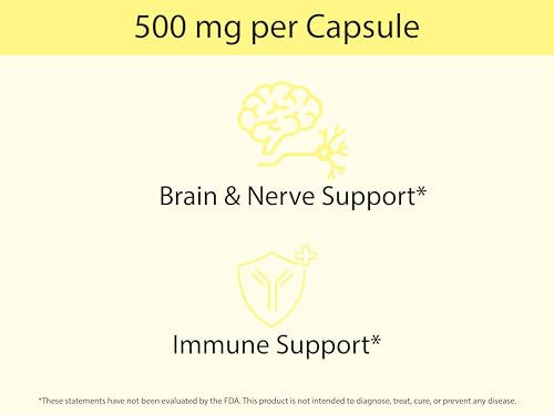 60 capsules of lion's mane extract