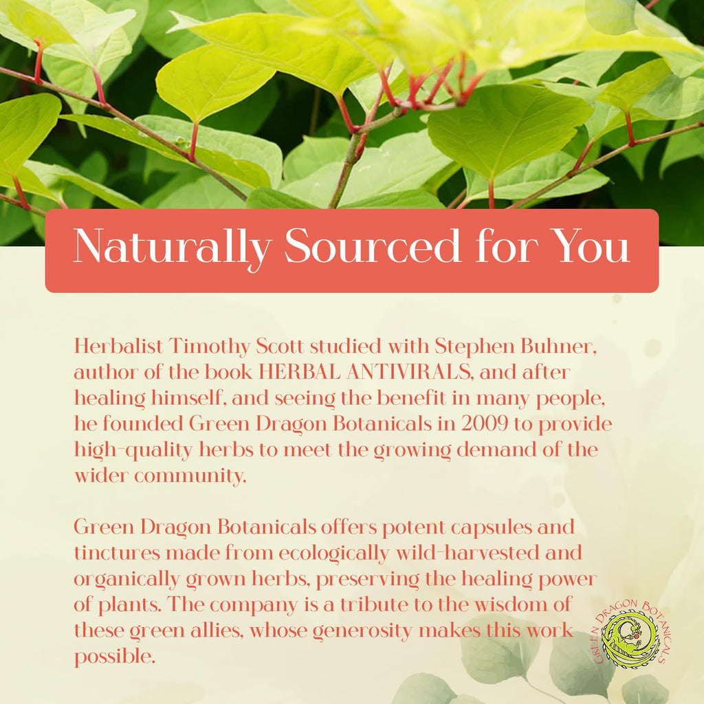 60 capsules of mango leaf supplements