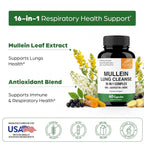 60 capsules of Mullein goodness