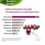 60 capsules of muscadine extract