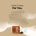 60 capsules of mushroom adaptogens