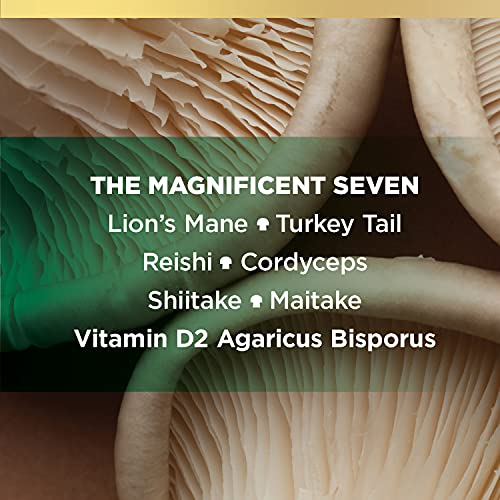 60 capsules of mushroom extracts