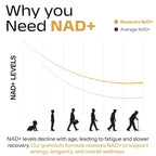 60 capsules of NAD+ for wellness