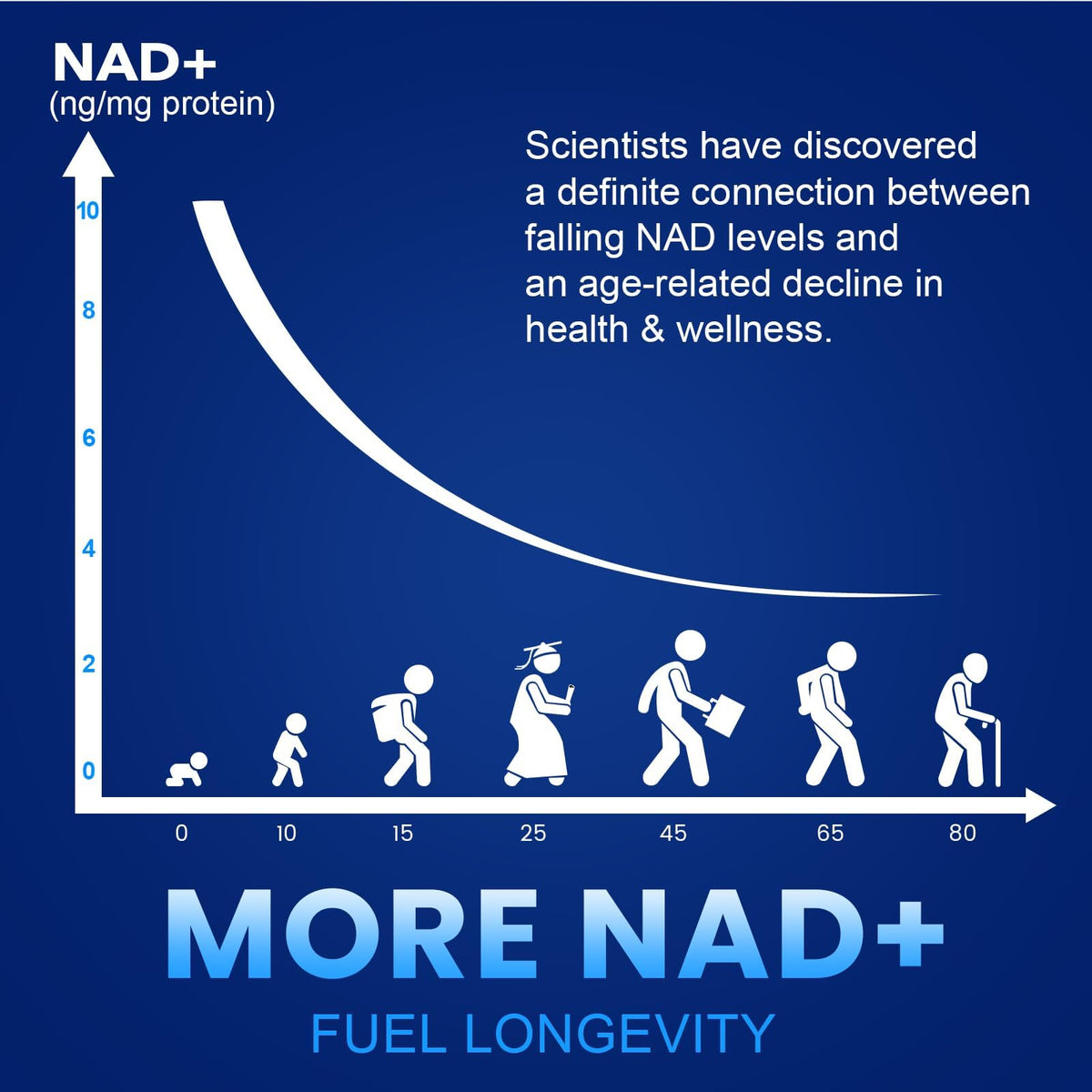 60 capsules of NMN supplement