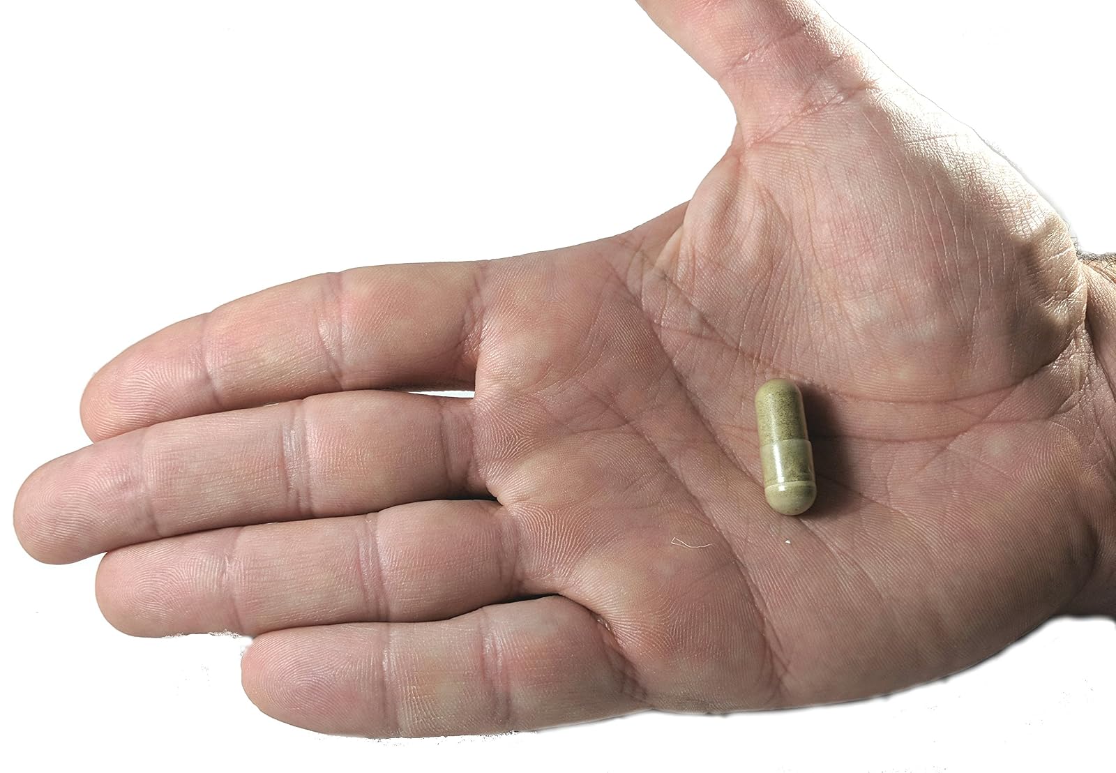 60 capsules of olive leaf extract