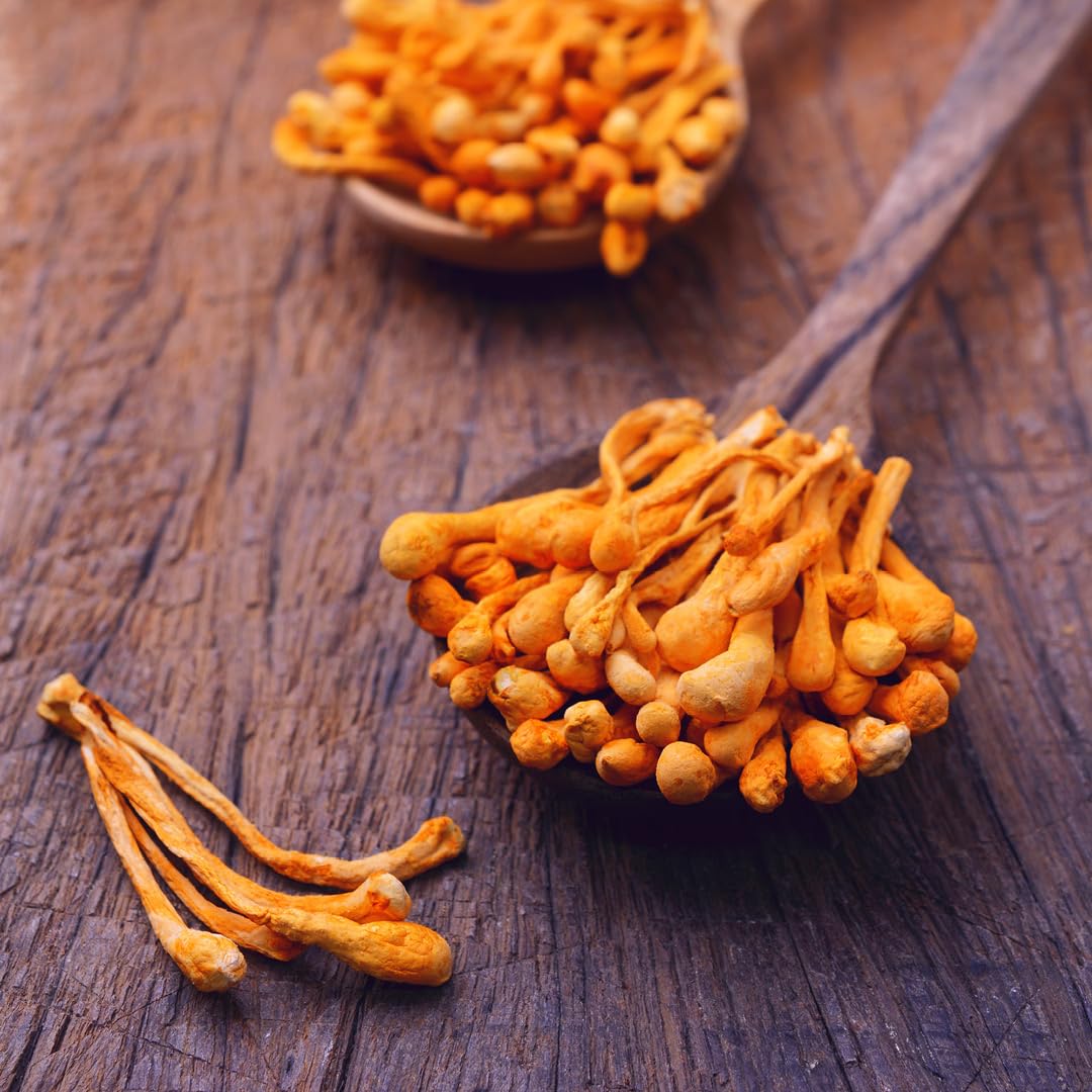 60 capsules of organic cordyceps