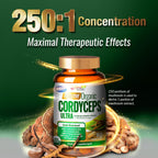 60 capsules of organic cordyceps