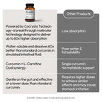 60 capsules of potent turmeric extract