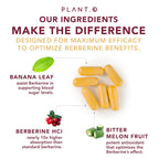 60 capsules of pure berberine
