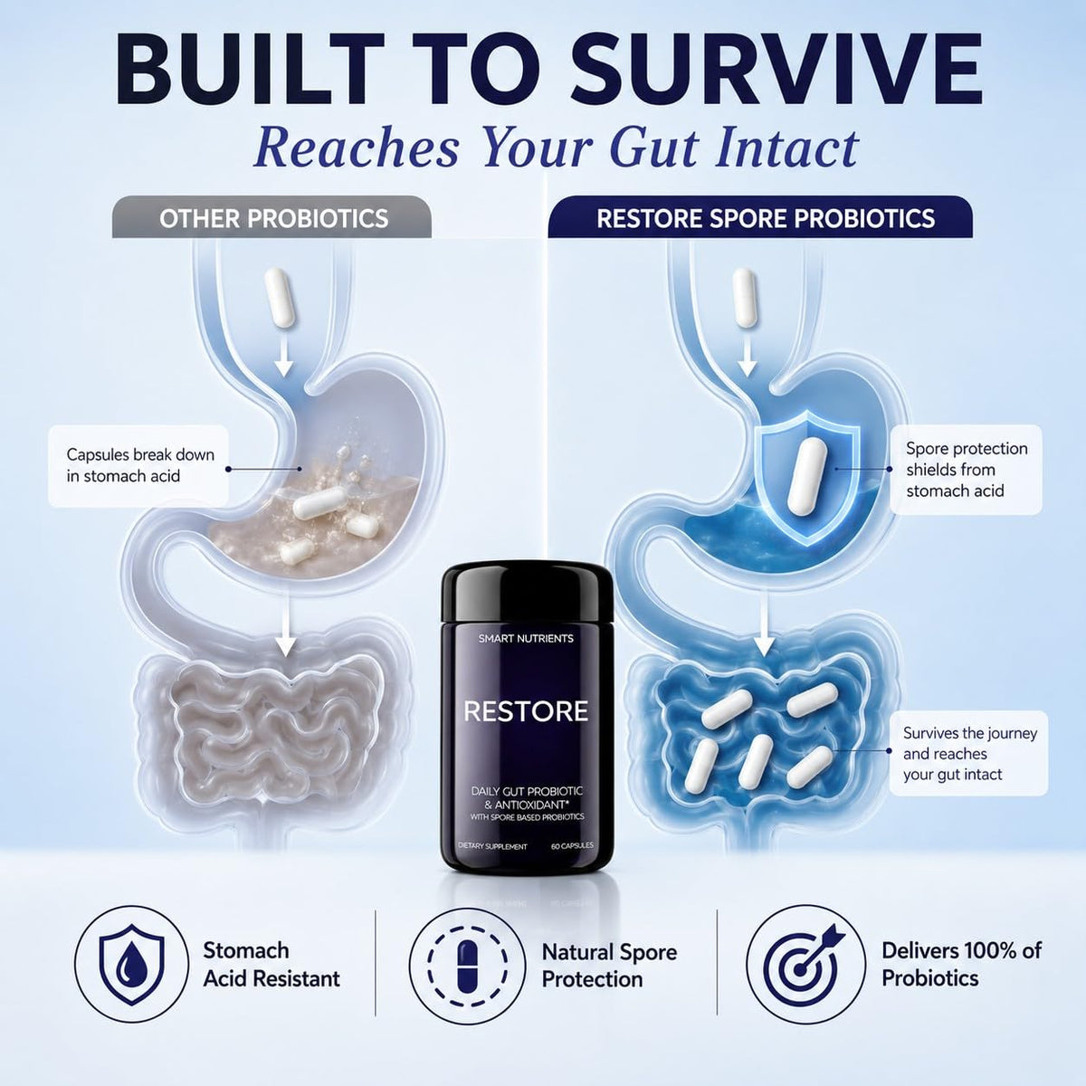 60 capsules of RESTORE probiotics for digestion