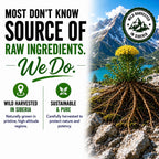 60 capsules of rhodiola extract