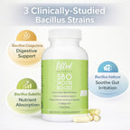 60 capsules of SBO mood probiotics