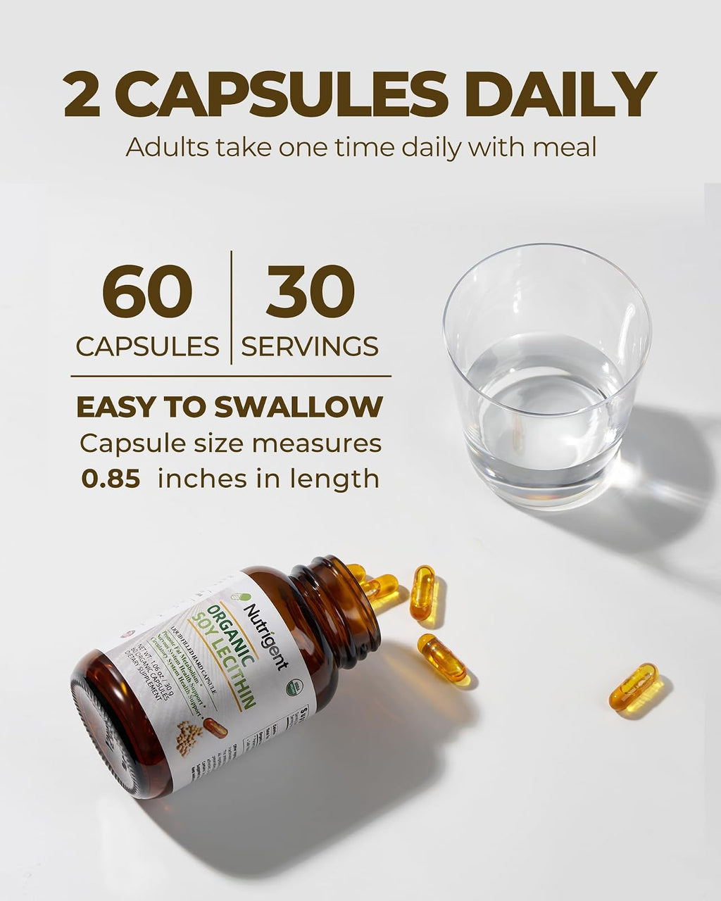 60 capsules of soy lecithin