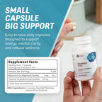60 capsules of Thiamine goodness
