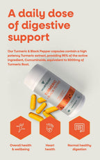 60 capsules of turmeric curcumin