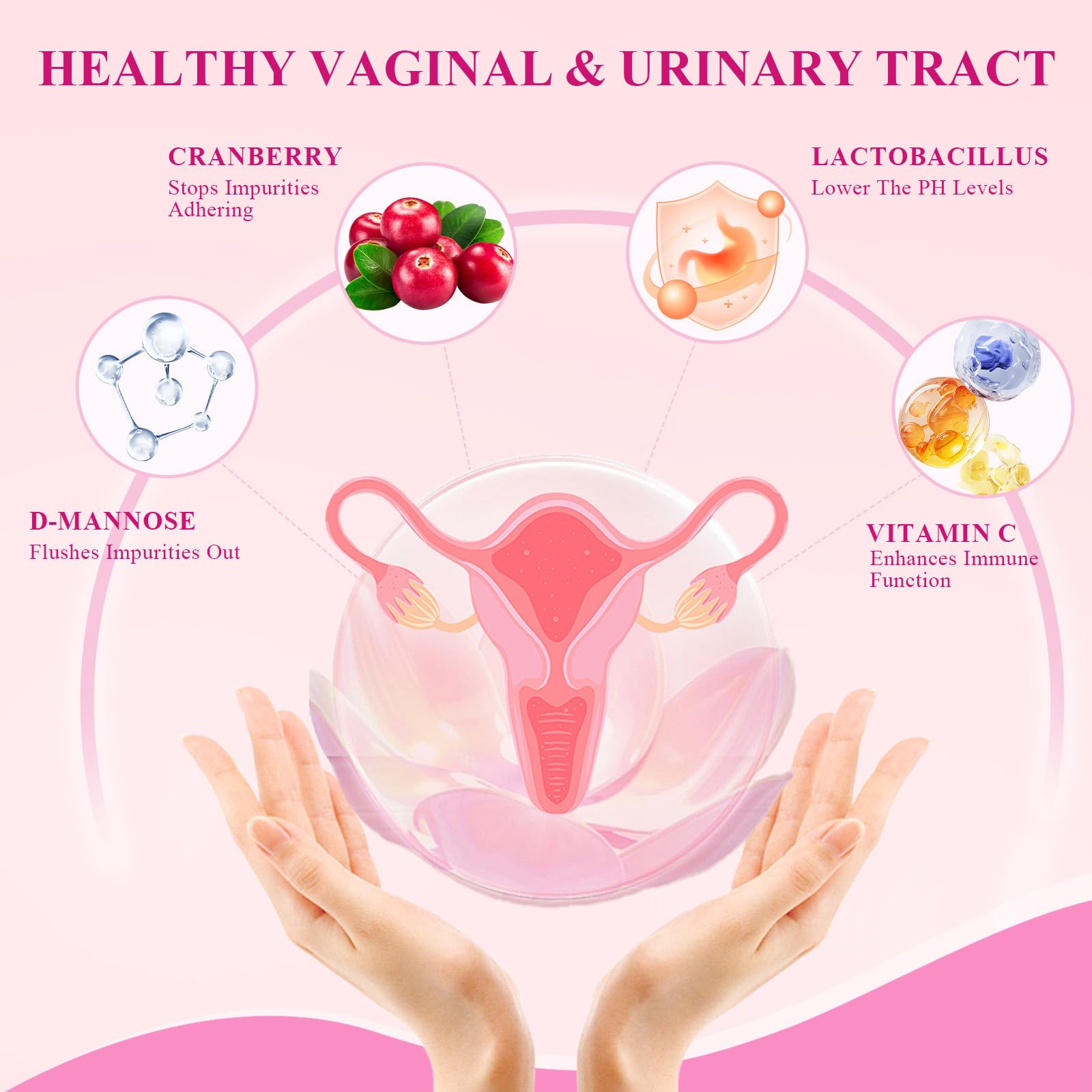 60 capsules of vaginal probiotics