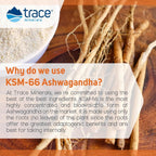 60 count ashwagandha gummies for convenient dosing