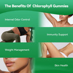 60 count chlorophyll gummies for daily use