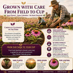 60 count Echinacea tea for energy