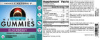 60 count elderberry gummies for daily health