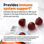 60 count elderberry gummies for wellness