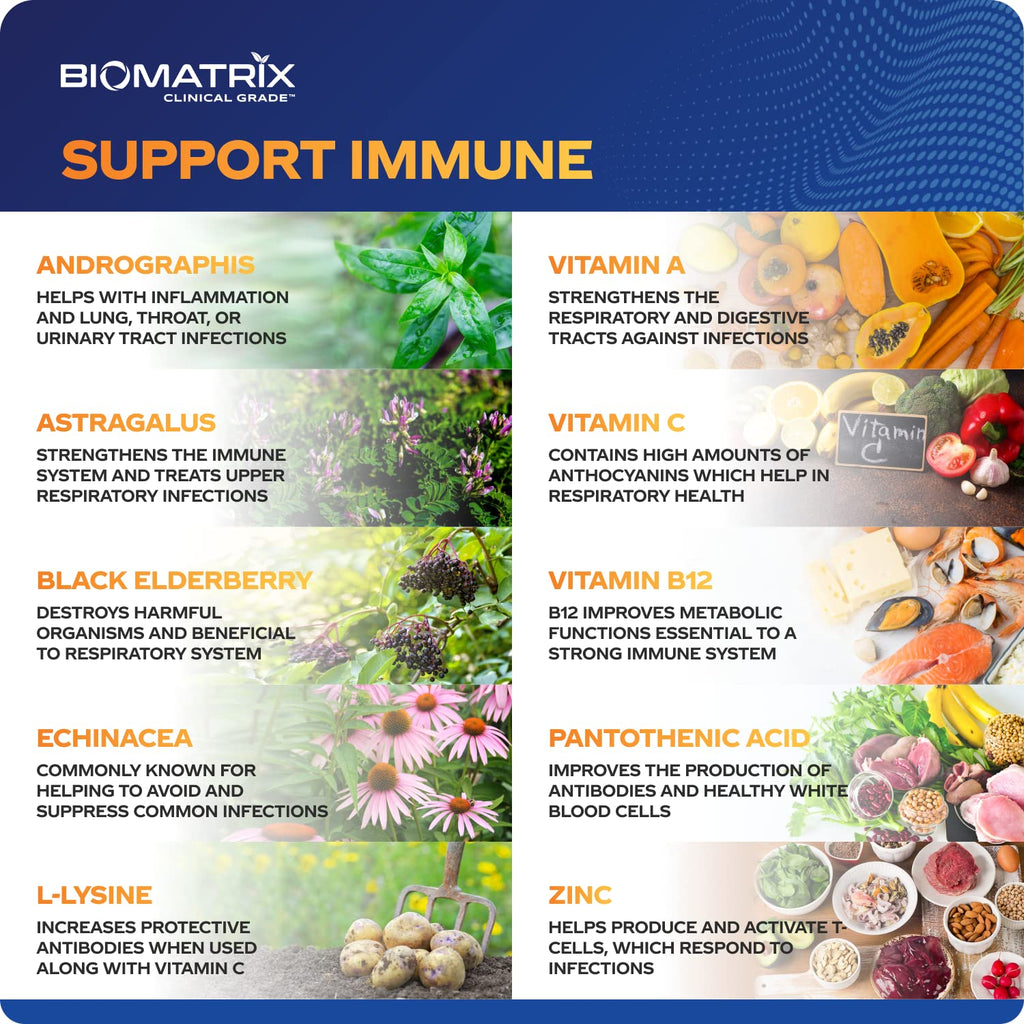 60 count elderberry immune support capsules