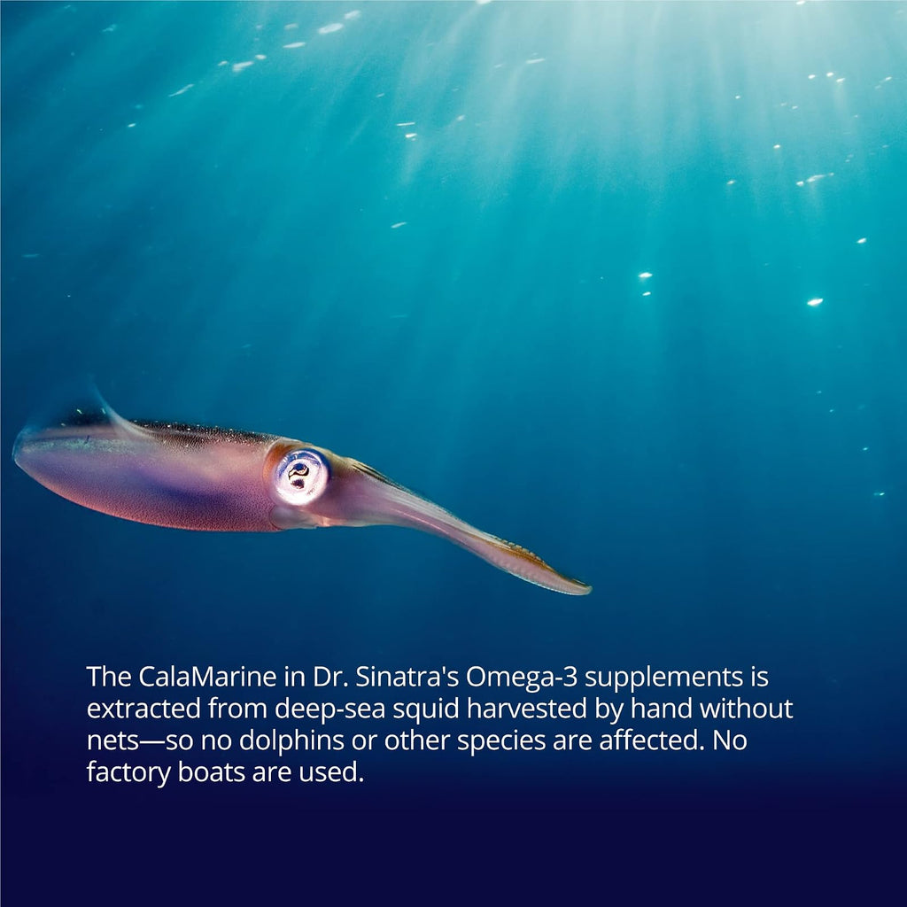 60 count fish oil capsules