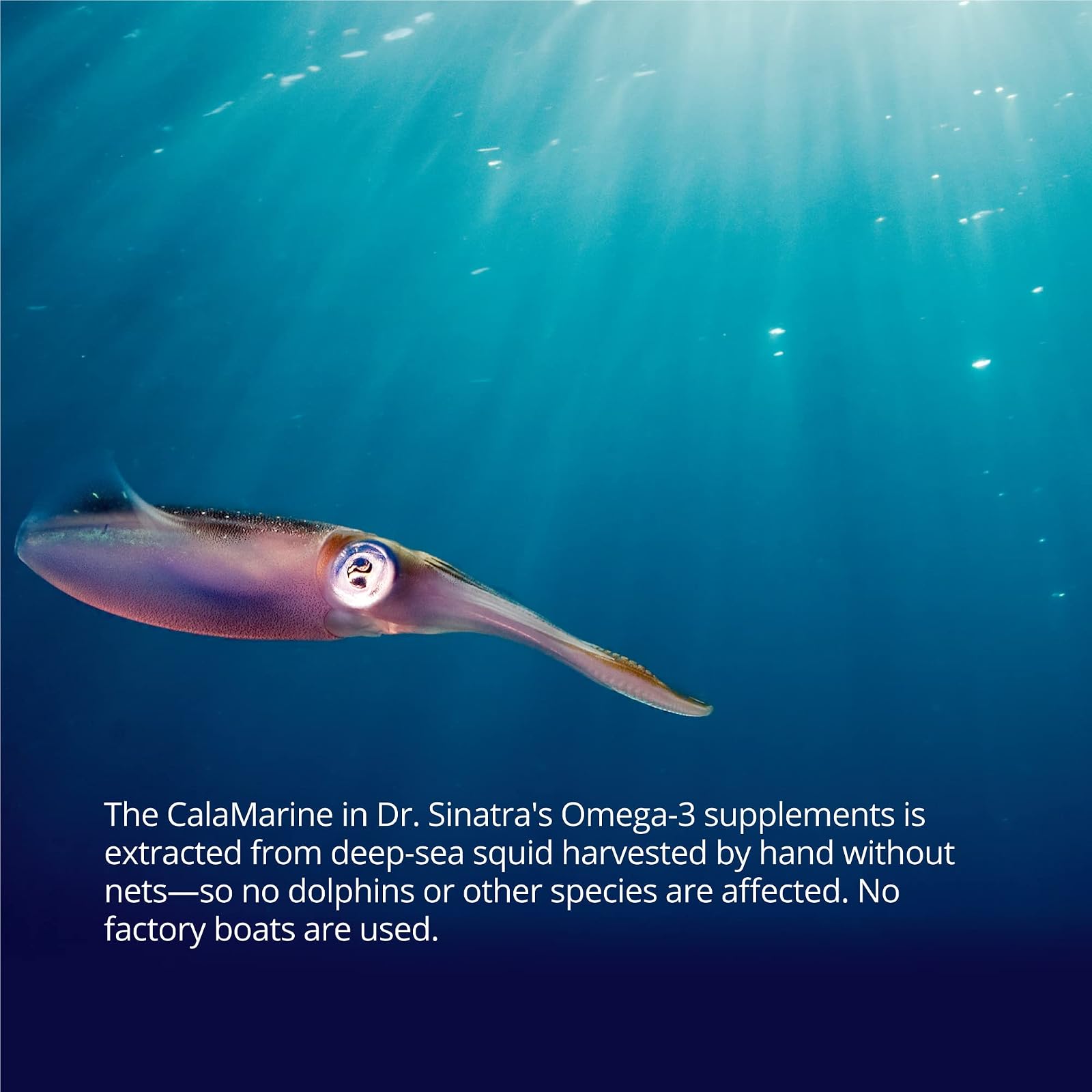 60 count fish oil capsules