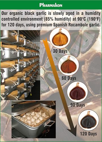 60 count garlic capsules for wellness