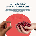 60 count Gemma cranberry dietary supplement
