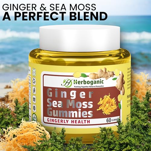 60 count ginger wellness gummies