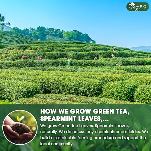 60 count green tea bags
